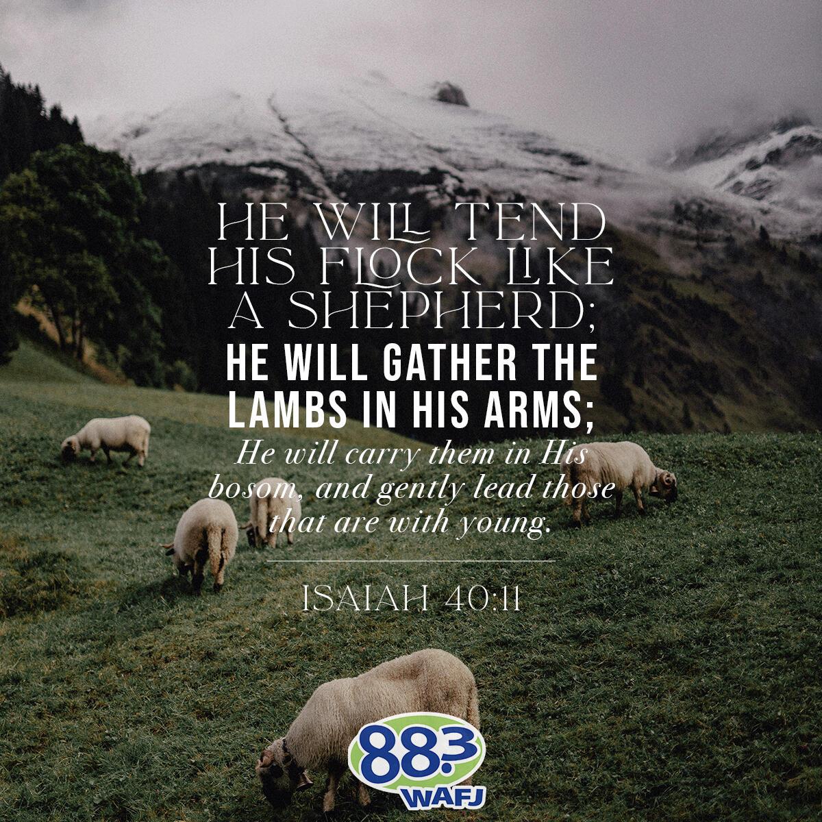 verse-of-the-day-isaiah-40-11-88-3-wafj
